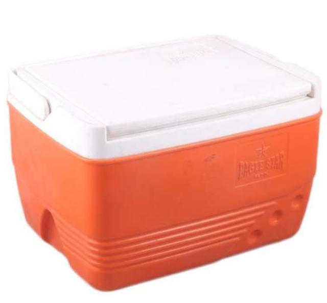 Eagle Star Cool Ice Box Portable 18 Liter Orange Color | Daraz.pk