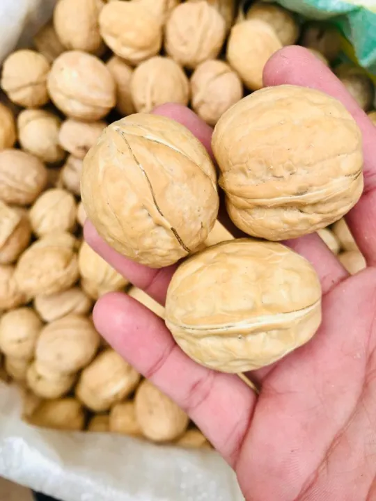 Akhrot , Walnut 1kg , Fresh Imported Akhrot , Akhrot Kaghzi , Akhrot ...