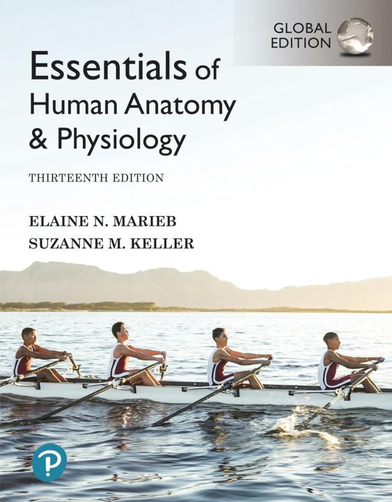 Essentials of Human Anatomy & Physiology 13th Edition By Elaine Marieb ...