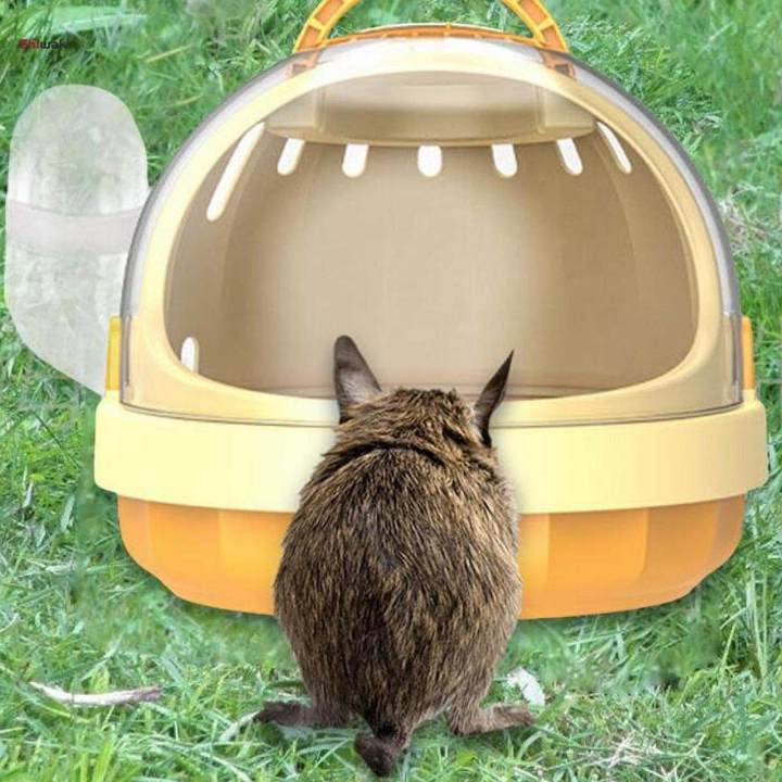 Hamster Carry Case Cage Small Animal Carry Case for Outdoor Mice ...