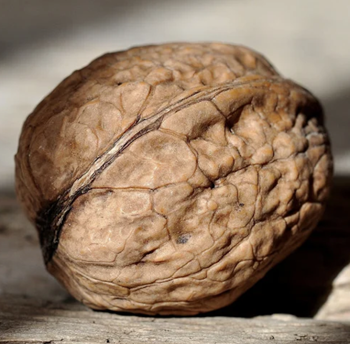 Soft Shell Walnuts - Fresh Kagzi Akhrot 100% Fresh Guaranteed Gilgit Dry Fruit - 250gm Pack ...
