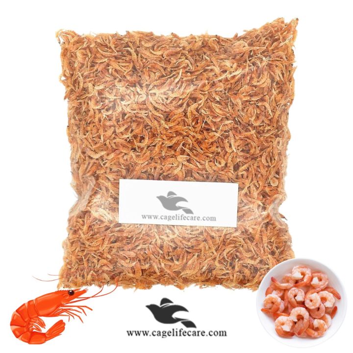 Dried Small Prawn (Jheenga) – High-Protein Natural Treat for Birds ...