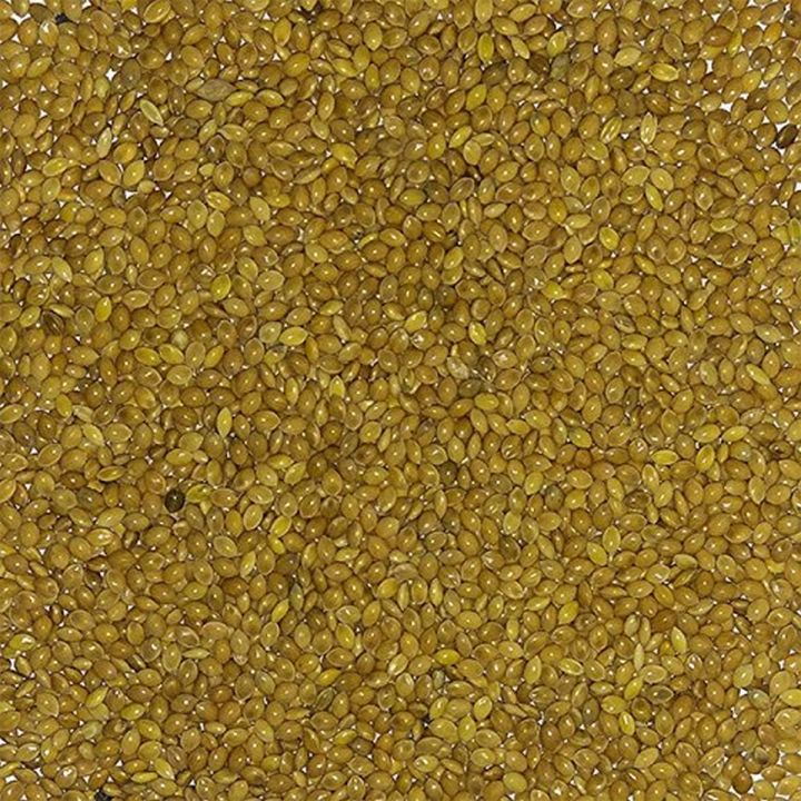 Premium Moti Kangni (CHEENA) Seed Bird Food Kangini Seed, Cheena Seed ...