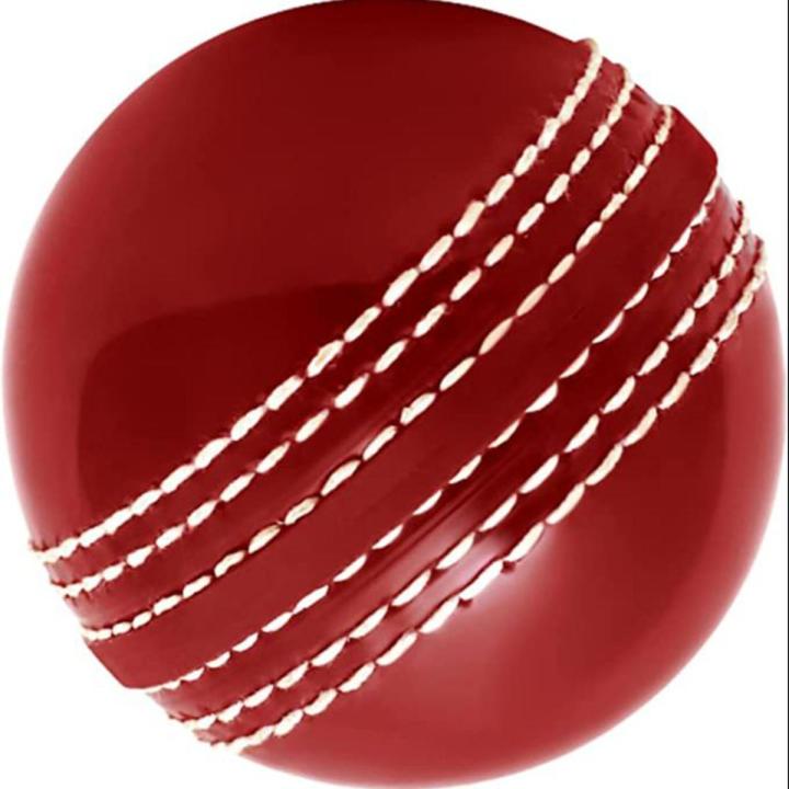 Cricket Balls for Training Soft & Safe Rubber Practice Cricket Ball ...