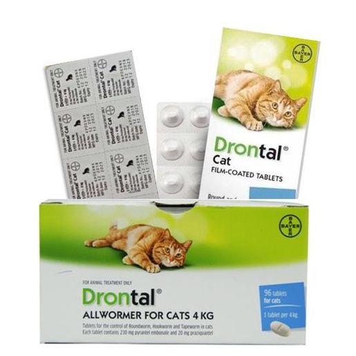 Drontal Cat Deworming Tablet - 1 Tablet | Drontal Cat Deworming - Long ...