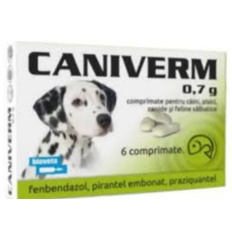 CANIVERM – deworming tablets for dogs and cats | Daraz.pk