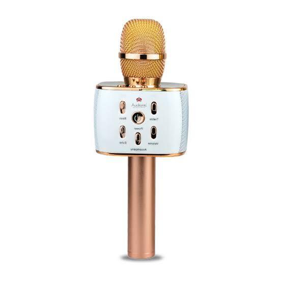 Audionic Mehfil MH-205 Karaoke Mic with Builtin Speaker and Bluetooth ...