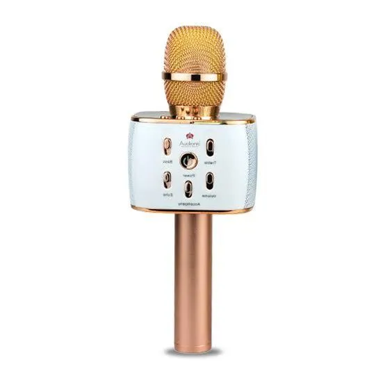 Audionic Mehfil MH-205 Karaoke Mic with Builtin Speaker and Bluetooth ...