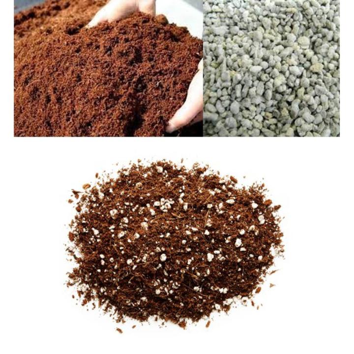 2 Pack of Coco Peat (500 gm) & Perlite (100 gm). | Daraz.pk