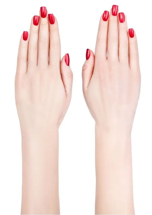 Mehndi Practice Hand and Foot - Heena Reusable Practice Sheet | Daraz.pk