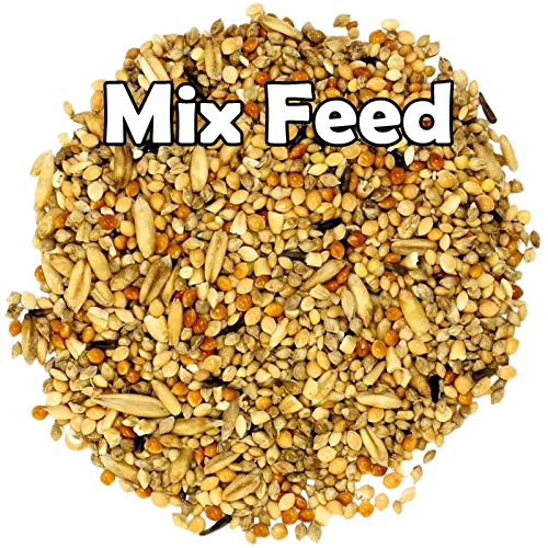 Mix Feed for Budgies & Small Birds - 25 KG Bag | Daraz.pk