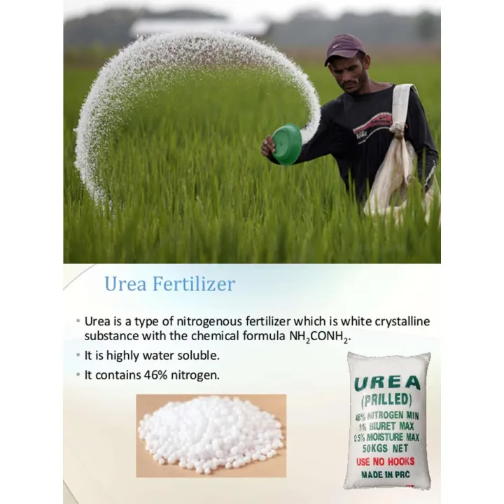 Urea For All Plants Fertilizer (500GM) ! | Daraz.pk
