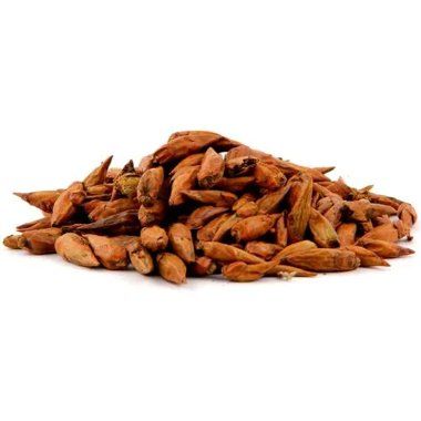 Poplar Buds, Whole, 4 oz (Populus candicans) | Daraz.pk