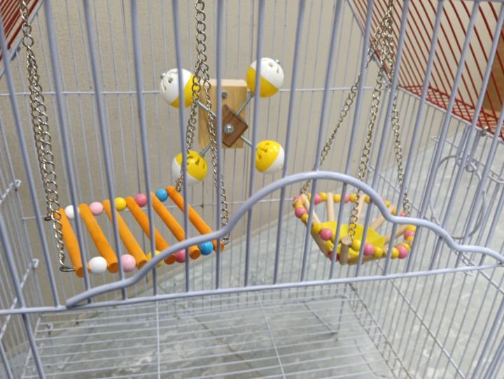 Bird Toy, Hanging Toy, Round Swing for Birds | Birds Spinning Toy with ...