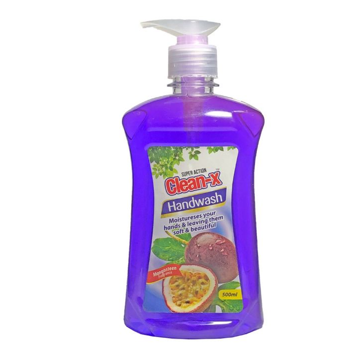 Clean-X antiseptic hand wash- Mangosteen fragrance- 500 ml | Daraz.pk
