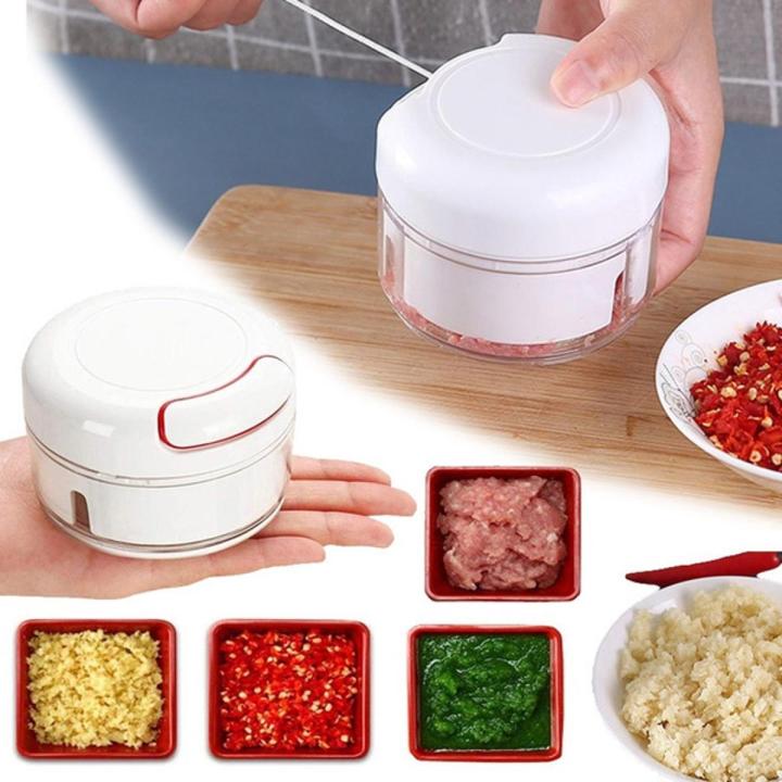 Mini Speedy chopperMini Speedy SlicerMini Garlic Slicer mini garlic ...