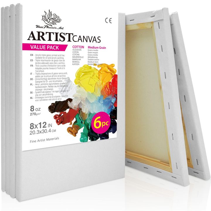 Stretched Canvas for Painting 8x12 Inch Value Pack of 6 100% Cotton ...
