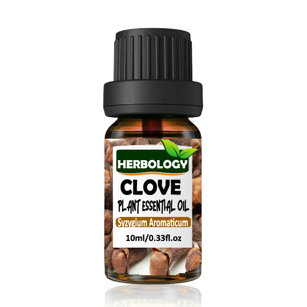 Herbology Clove Bud Aromatherapy Essential Oil 100% Pure Therapeutic ...