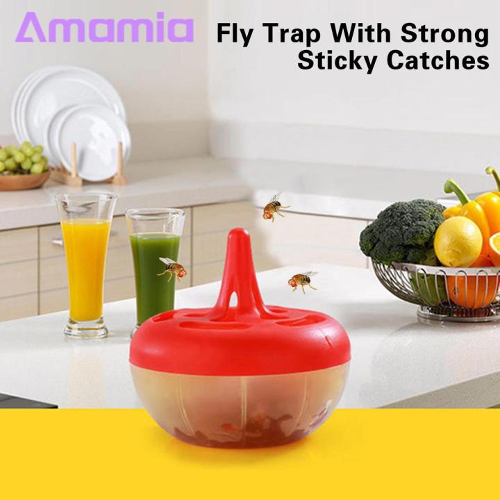 Fruit Fly Trap Fruit Fly Box Detachable Handle Design Small Bee Sticky ...