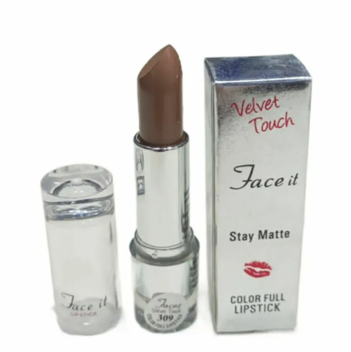 Face It Stay Matte Lipstick Shade 309 Velvet Touch Best Quality | Daraz.pk