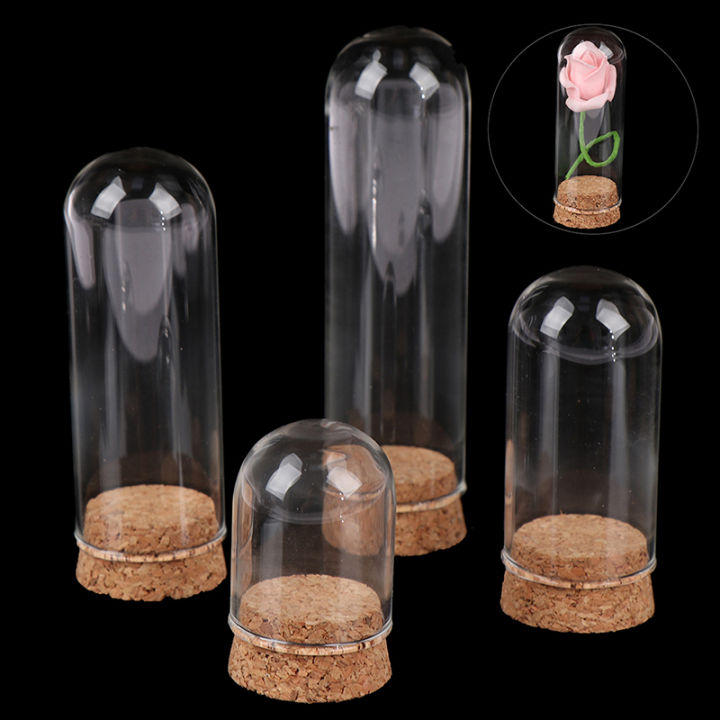 1/6 Doll Glass Dome Display Wood Cork Bell Jar With Wooden Base ...