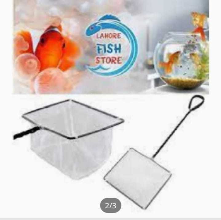 Premium Quality Rust Proof Aquarium Fish Catching Net - Small Size ...