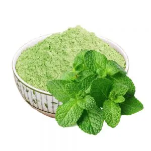 Peppermint Powder 100gm | Daraz.pk