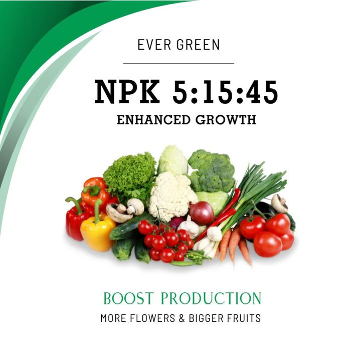 NPK 5 15 45 Fertilizer - Imported - Best for flowering and fruiting ...