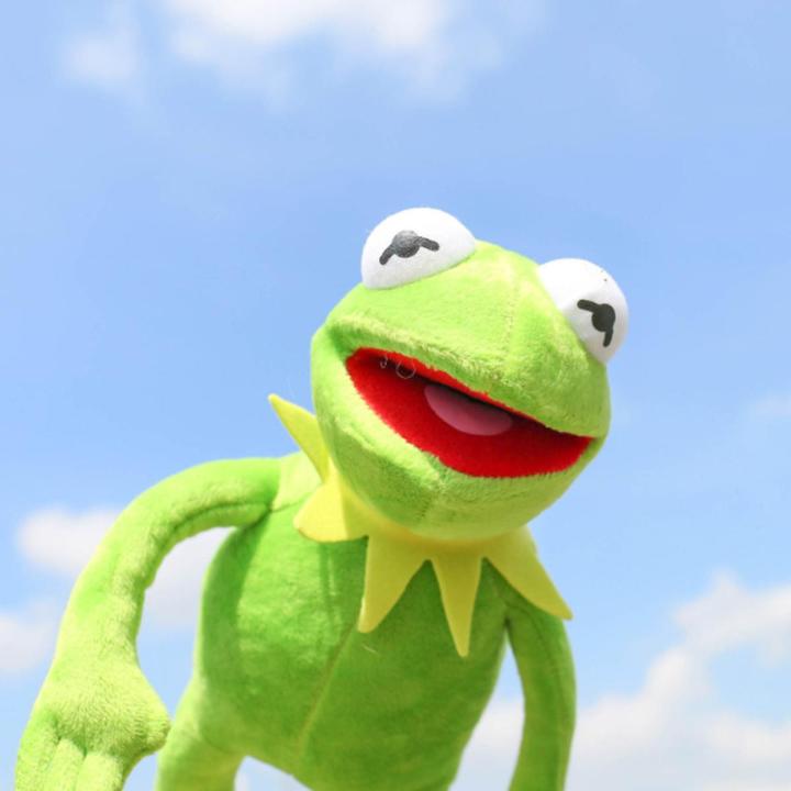 40cm Kermit The Frog Sesame Street Muppet ONE ITEM Full Body Doll ...