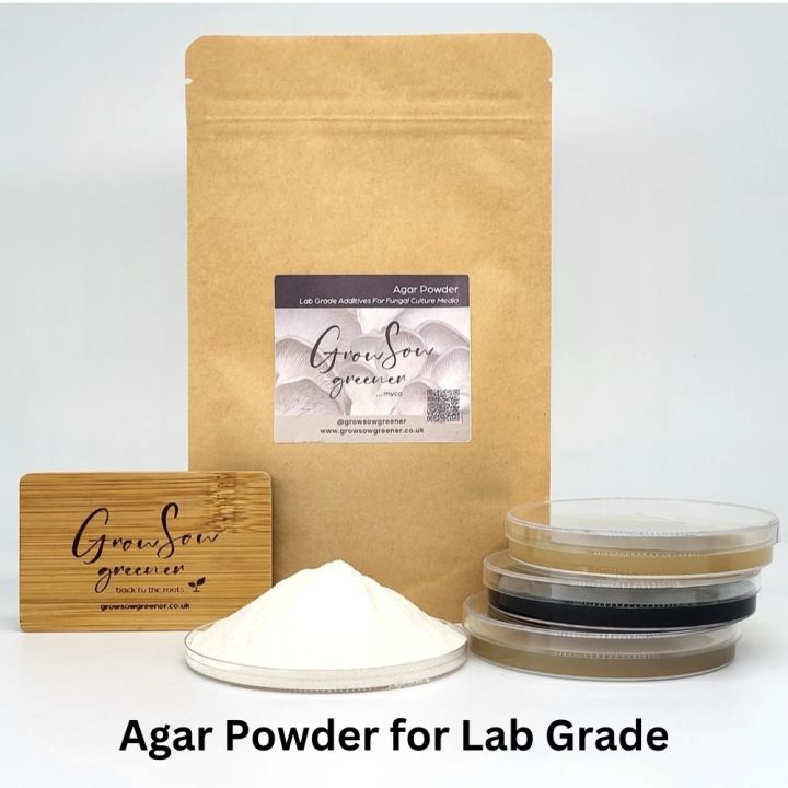 Agar Agar Powder Lab Grade ( 10g–100g ) – High Purity & Plant-Based ...