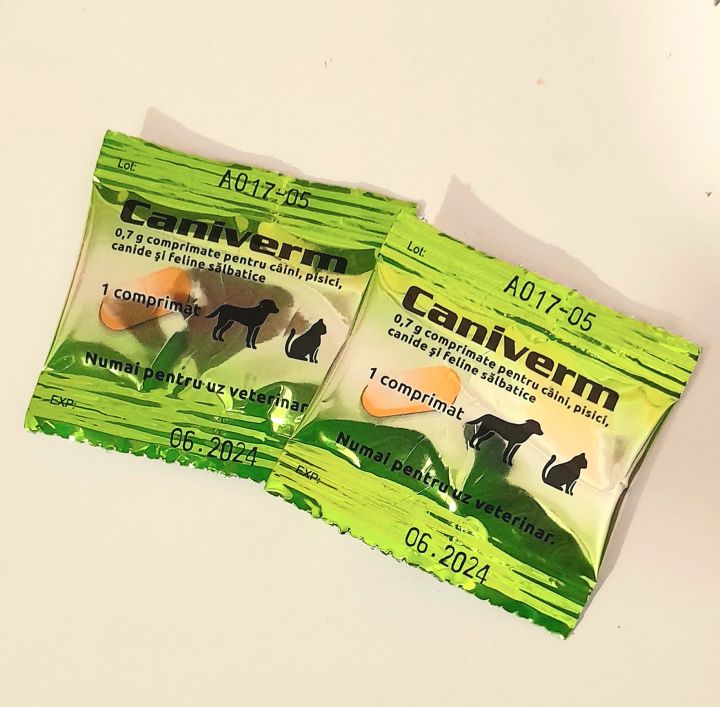 Caniverm Deworming Tablet - Single Tablet Long Expiry - For Dogs and ...