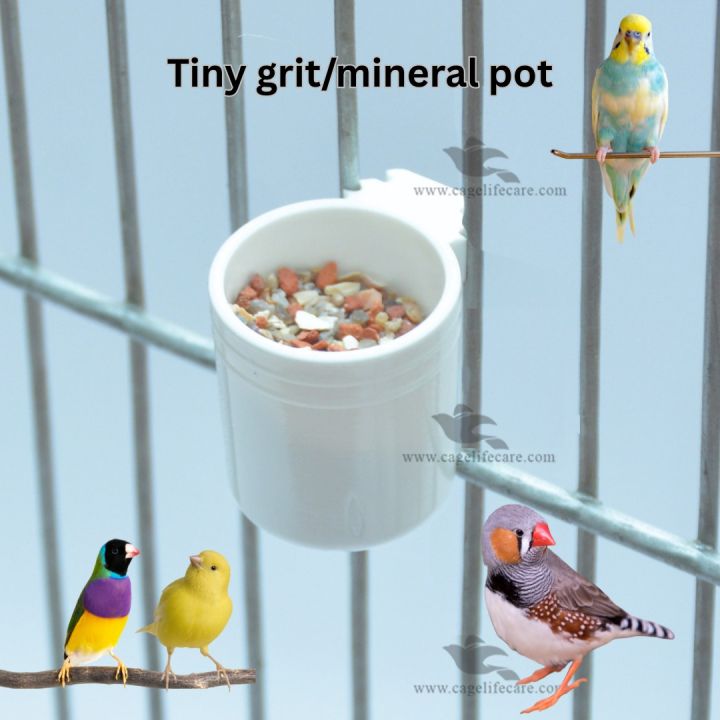 Tiny WHITE Minerals and Grit pot for Finches, Java, Budgies, Canaries ...