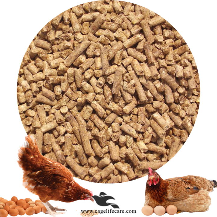Layers Chickens Poultry Feed Mix 1KG - Special Ratio Neat & Clean 0% ...