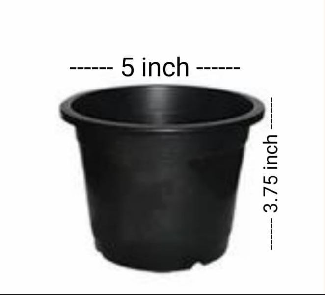 Black Pot for plants , flowers , paneeri 4inch Pack of 5,7,9,12,12 ...