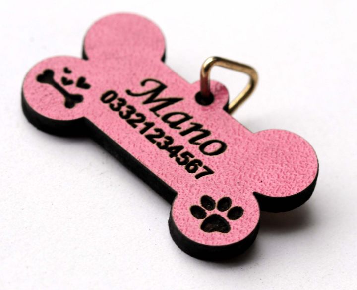 Custom Pet Name Tag for Dogs & Cats – Personalized Bone Shape Tag with ...
