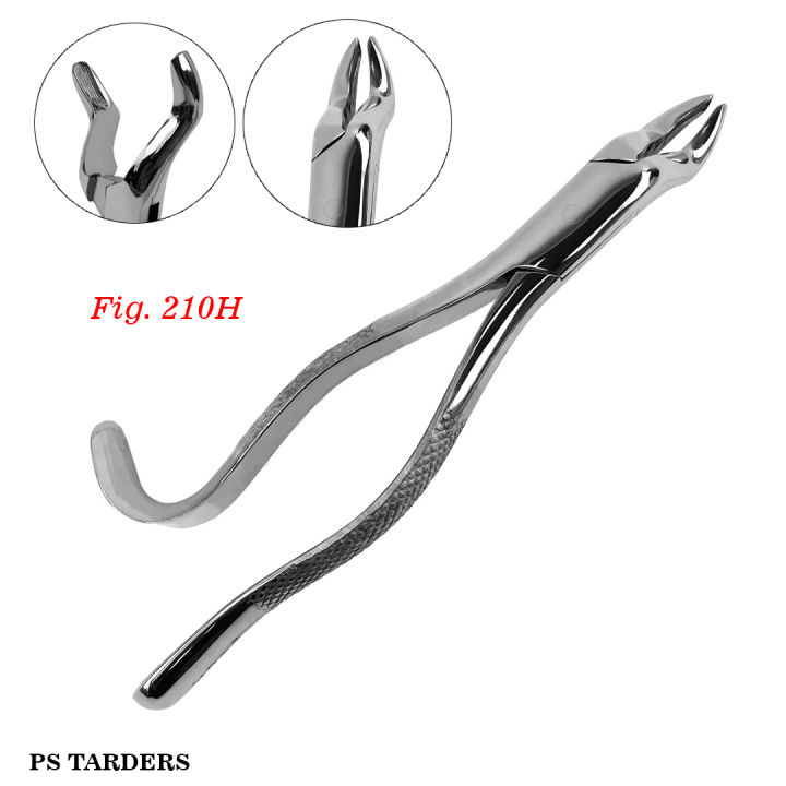 Premium High Quality Stainless Steel Dental Tooth Extracting Forceps ...