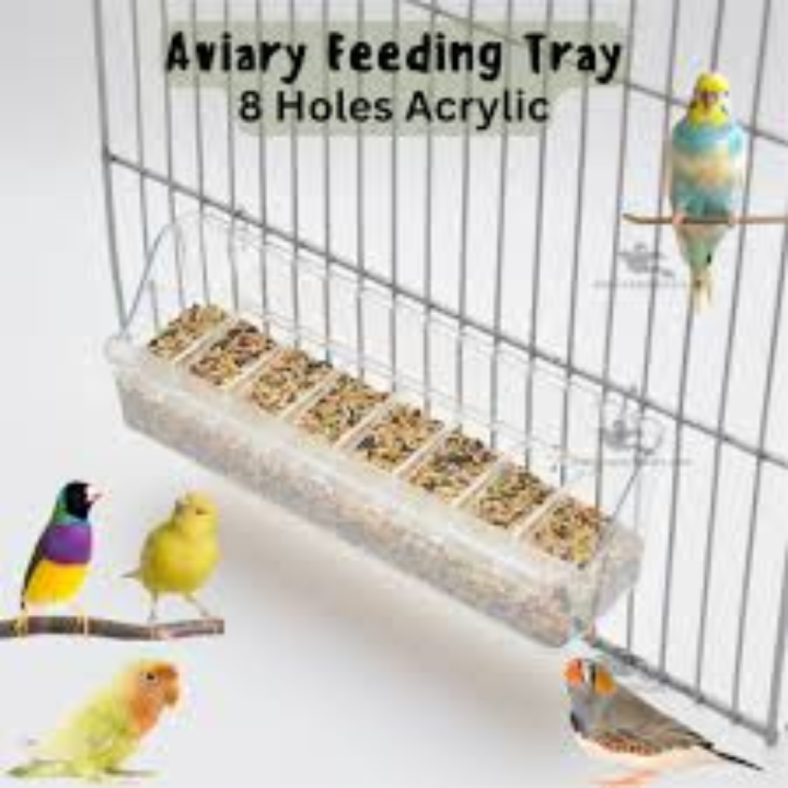 Premium Quality 8-Hole Transparent Bird Feed Trough (Pack Of 4)– Italy ...