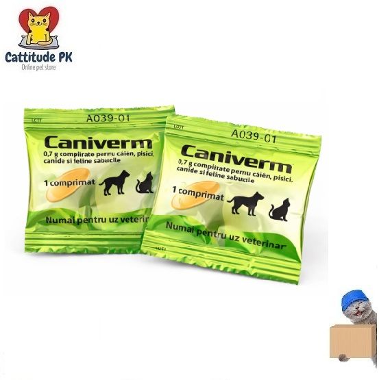 Caniverm Deworming Tablet for Dogs and Cats (1 Tablet) | Daraz.pk
