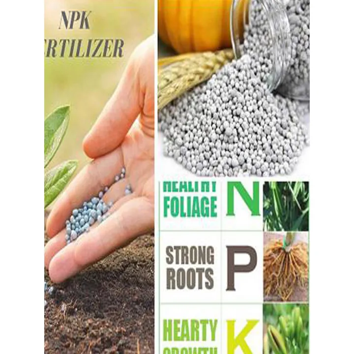 NPK Fertilizer Macro nutrient for plant growth ( 500 GM ) | Daraz.pk