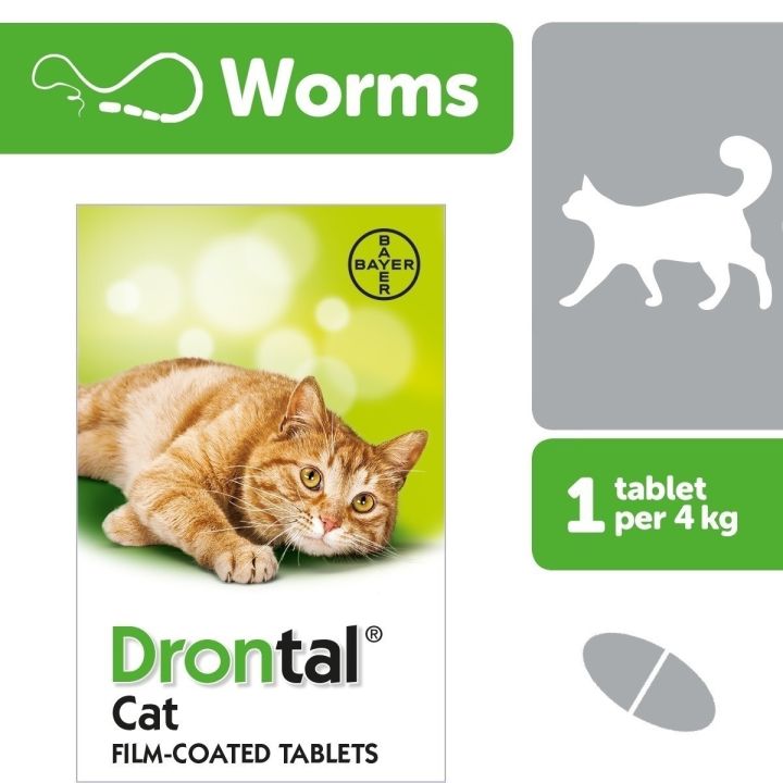 Drontal Cat Deworming Tablet - 1 Tablet | Drontal Cat Deworming - Long ...
