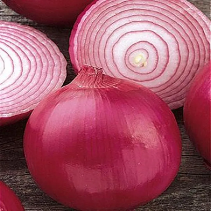 Red Onion American Imported Seeds | Daraz.pk
