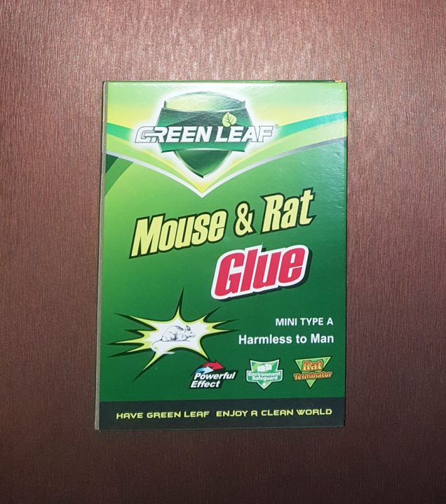 Mouse & Rat Glue Mat - Mouse Sticking Mini Board (1 Piece) | Daraz.pk