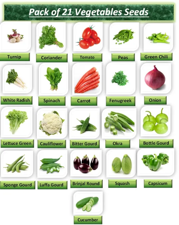 Pack of 21 vegetables seeds , Winter & Summer Vegetable Seeds , 21 ...
