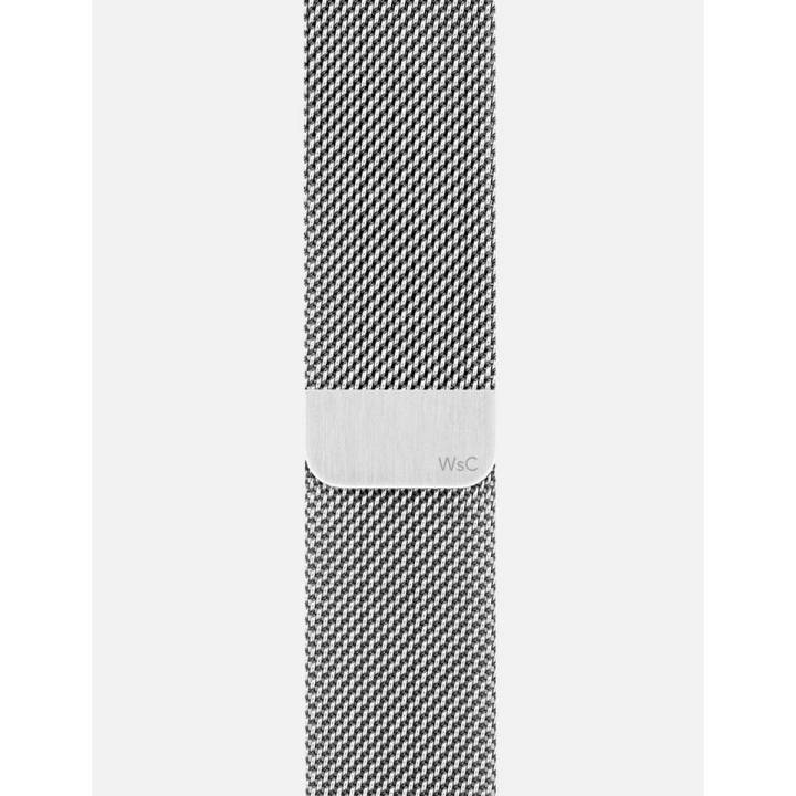 Mesh Loop – Silver | Daraz.pk