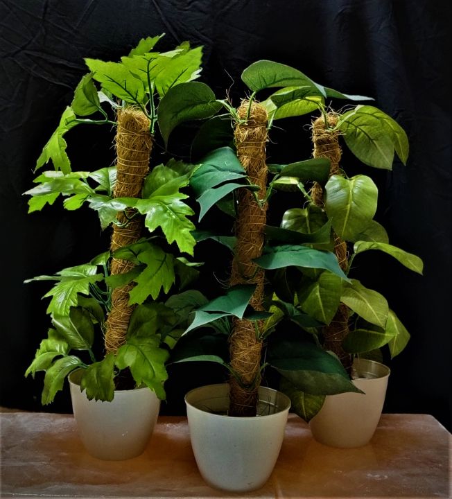 Pack of 3 Random High Quality Artificial Plants | Daraz.pk