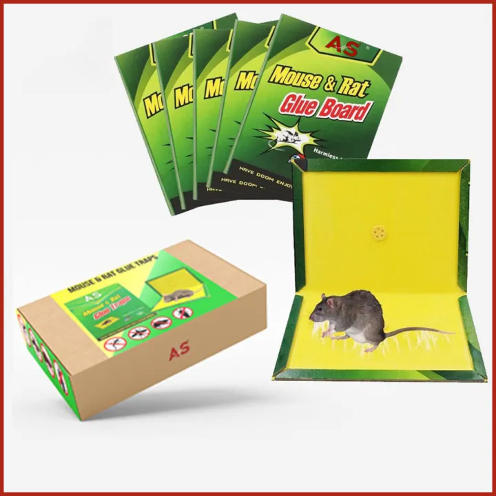 ANS Rat killer Mouse killer Reusable Expert Catch Mouse Glue Traps ...