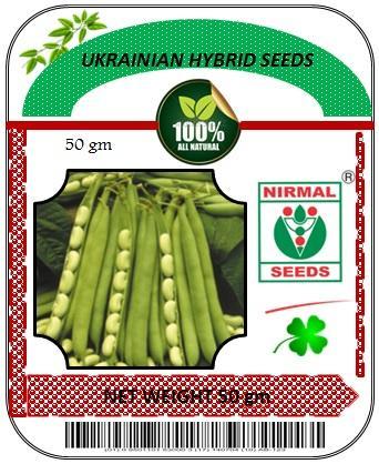 Hybrid French Beans – Flash( frash) beans seeds 50 gm | Daraz.pk