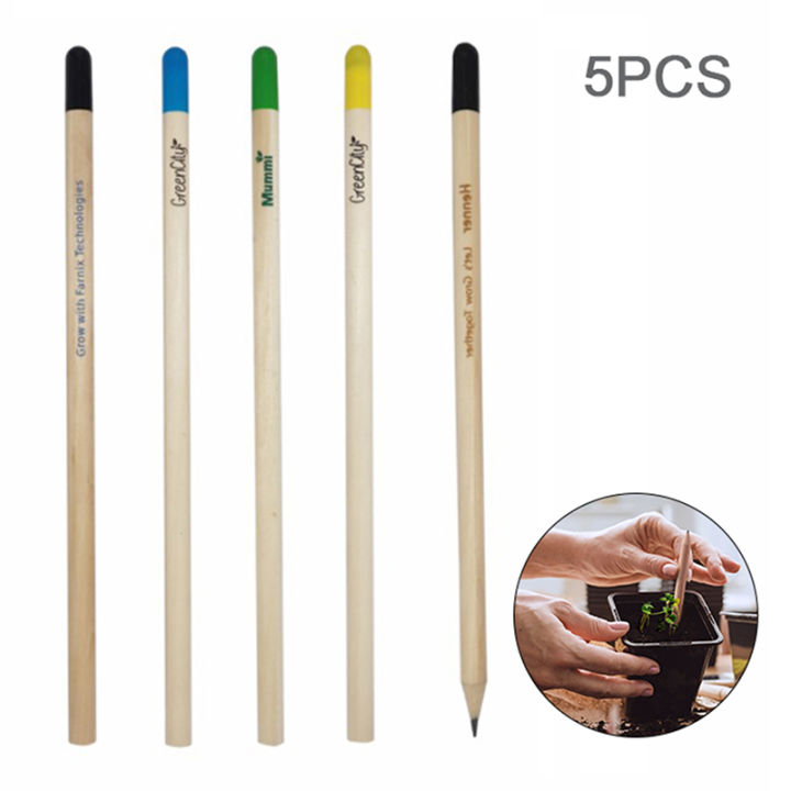 5PCS Idea Germination Pencil Set To Grow Pencil Sprouted Pencil DIY ...