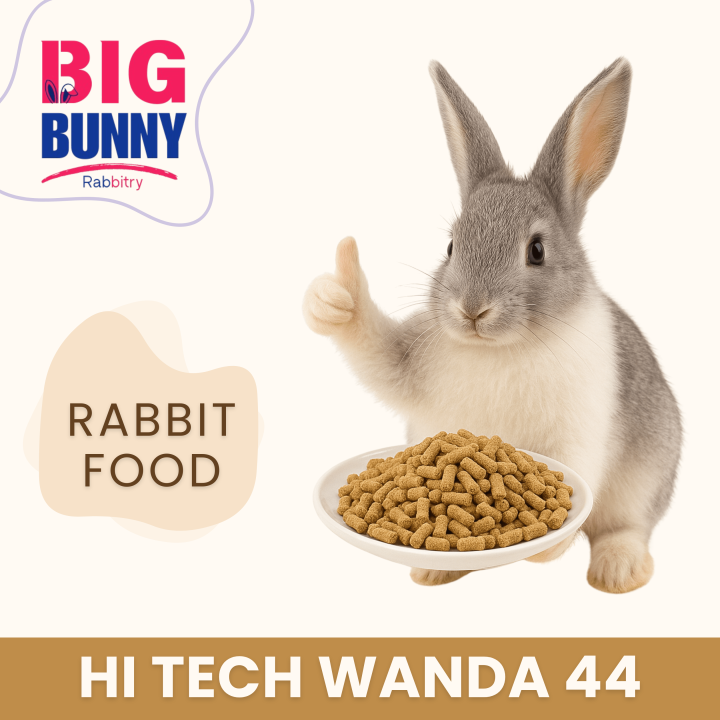 Buy 3-KG HI TECH 44 Rabbit Feed Pellets – Premium Wanda for Rabbits ...