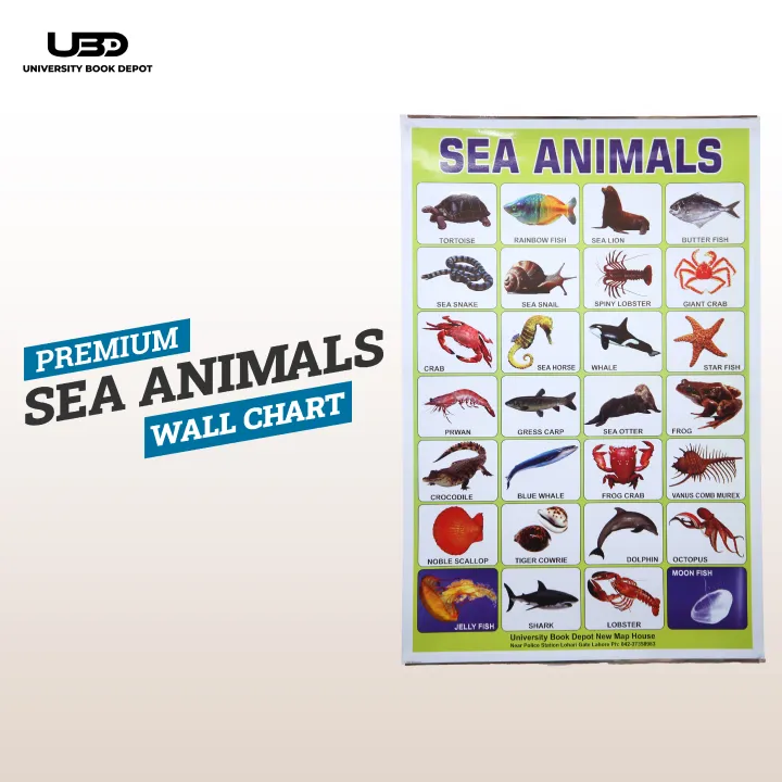 Sea Animals Wall charts For classroom | High Quality Sea Animals Chart ...
